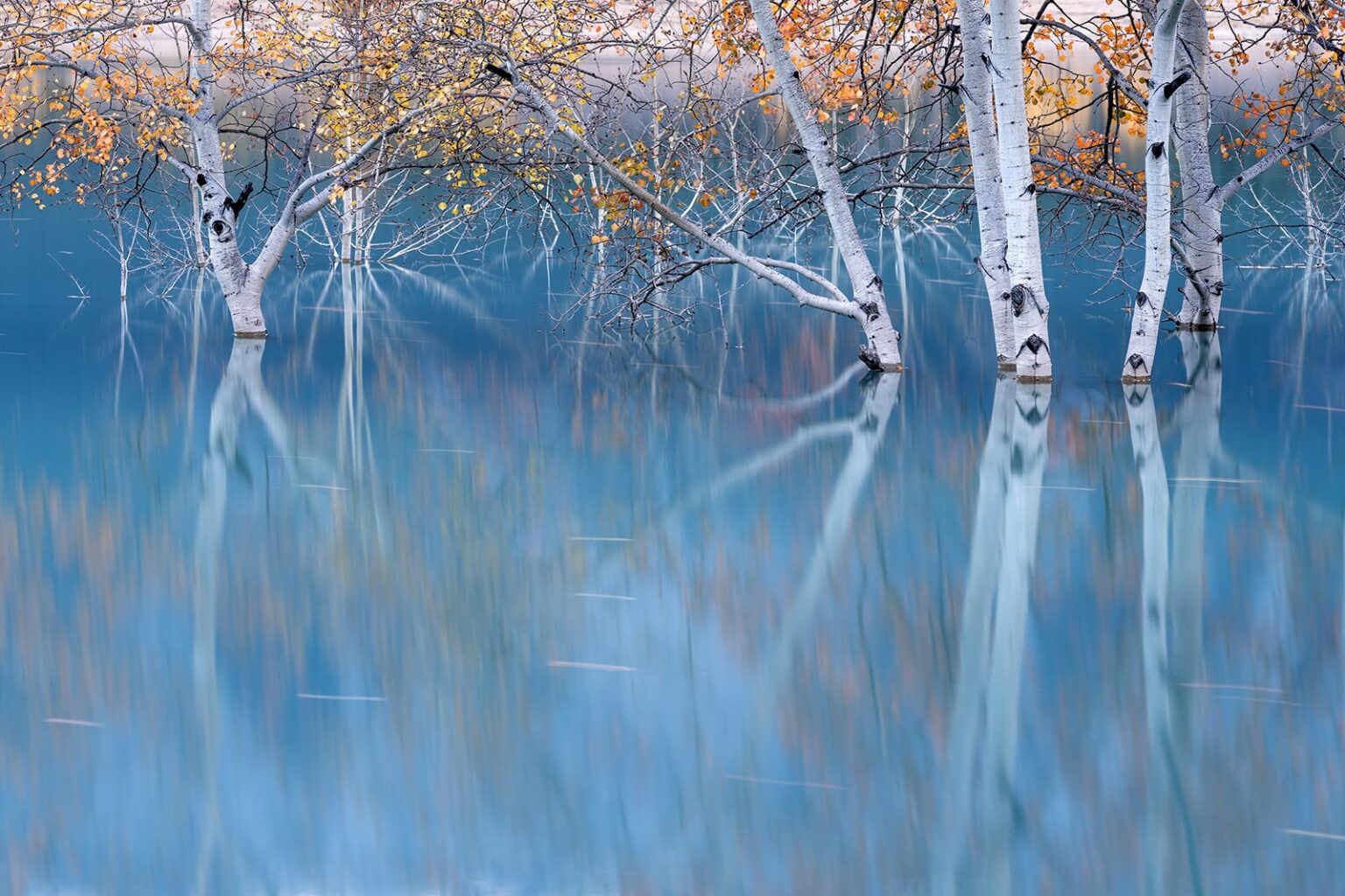 Gavin Hardcastle – Fine Art Photography