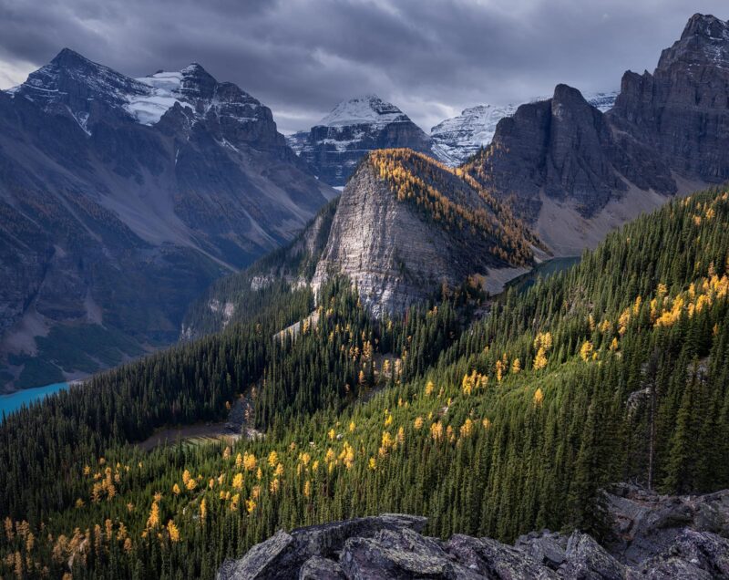 The Classics Print Collection – Gavin Hardcastle