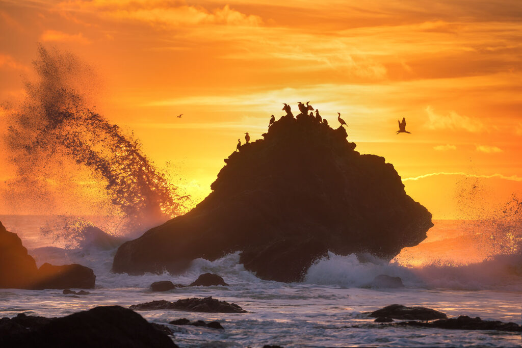 Gavin Hardcastle – Fine Art Photography